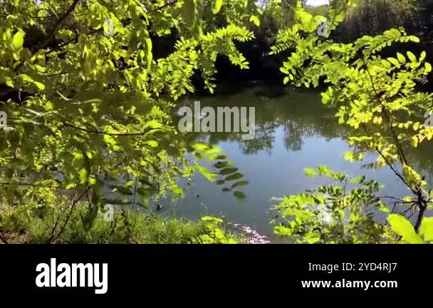 Solnechny Stock Videos & Footage - HD and 4K Video Clips - Alamy