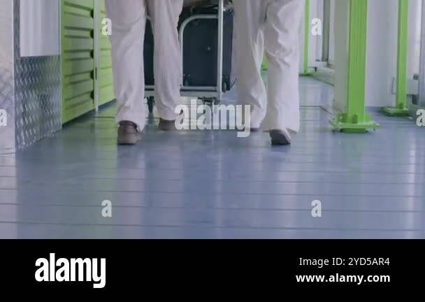 Tilt up back view shot of man and woman walking along green self ...