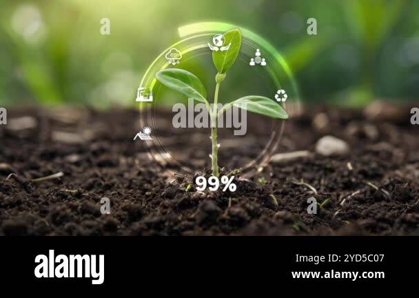 Net zero by 2050. Carbon neutral. Net zero greenhouse gas emissions ...