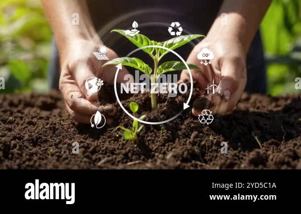 Hand of human holding green young plant with net zero icon. Net zero ...
