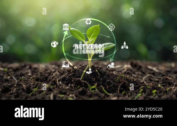 Net zero solutions Stock Videos & Footage - HD and 4K Video Clips - Alamy