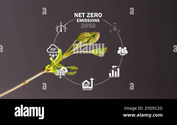 Net Zero Emissions 2050 Net zero , carbon neutral concept. Net zero ...