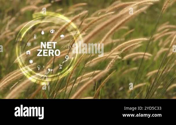 net zero carbon emission target for 2050, sustainability, environmental ...