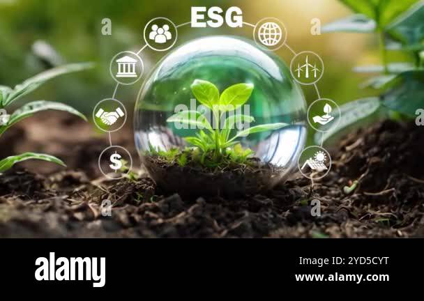 ESG concept.Globe Glass with ESG icons In Green Forest With Sunlight ...