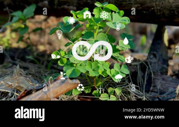 Circular economy to reduce waste by reusing, repairing, recycling ...