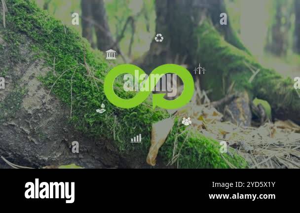 Recycle environment Stock Videos & Footage - HD and 4K Video Clips - Alamy