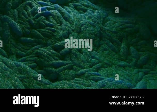 Spiral shaped bacteria Stock Videos & Footage - HD and 4K Video Clips - Alamy