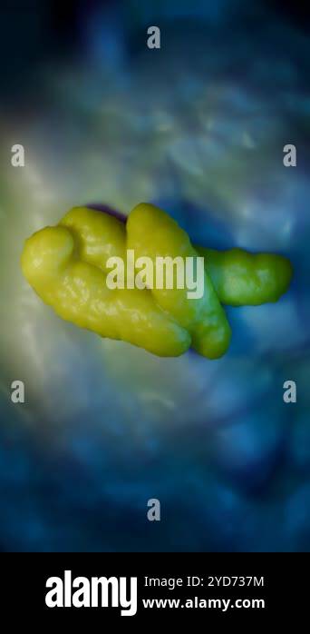 Campylobacter jejuni bacteria close-up of microscopic view created in ...