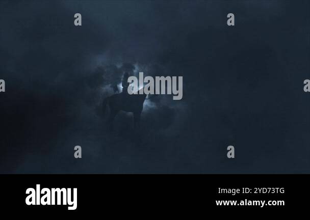 Timar system Stock Videos & Footage - HD and 4K Video Clips - Alamy