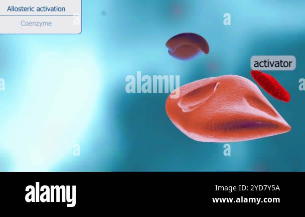 Enzyme activation process Stock Videos & Footage - HD and 4K Video ...