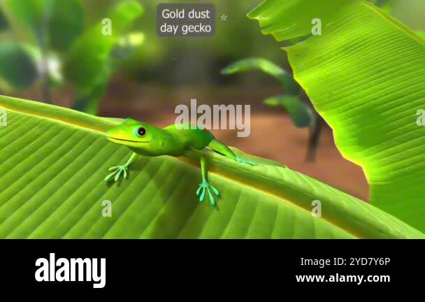 The gold dust day gecko is a striking lizard known for its vibrant ...