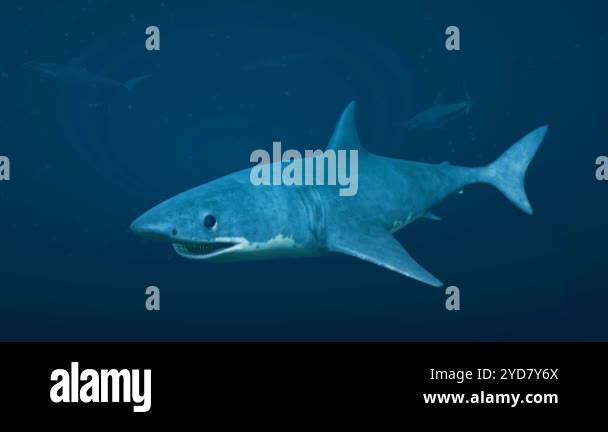 The great white shark is an apex predator recognized for its size and ...