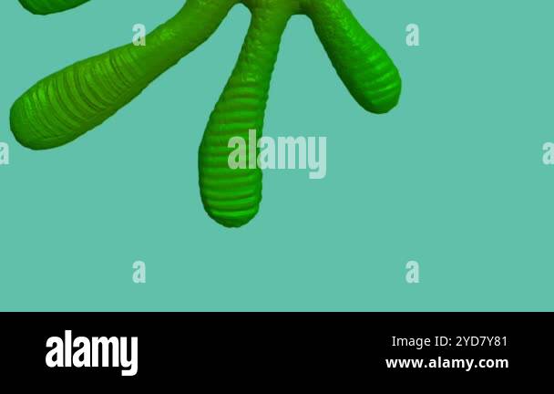 Van der waals forces Stock Videos & Footage - HD and 4K Video Clips - Alamy