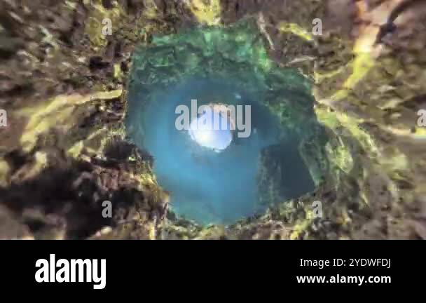 Underwater upward angle view Stock Videos & Footage - HD and 4K Video ...