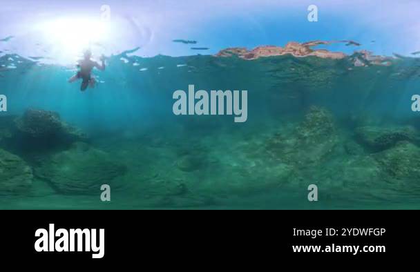VR 360. Underwater swimmer in spherical panorama, where sunlight ...