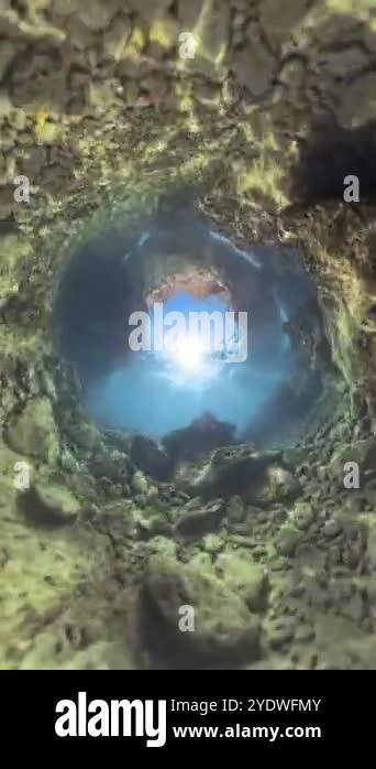 Vertical video. 360 panorama spherical vr Close-up of an underwater ...