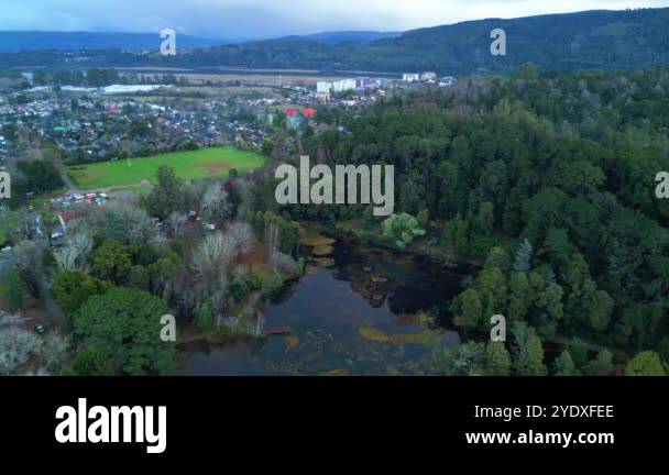 Beautiful aerial footage capturing a lush forest merging seamlessly ...