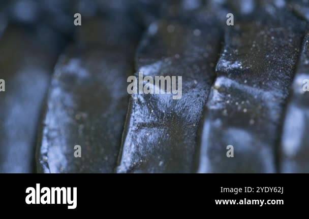 Ostrich leather background texture close up. Textured background of ...