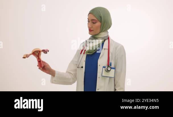 Woman doctor in hijab shows uterus model on white background. Muslim ...