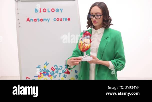 Woman biology teacher explains anatomy of human heart against ...