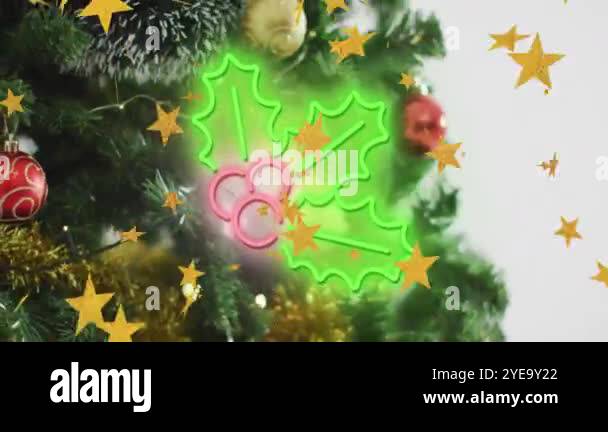 Animated christmas holly Stock Videos & Footage - HD and 4K Video Clips ...