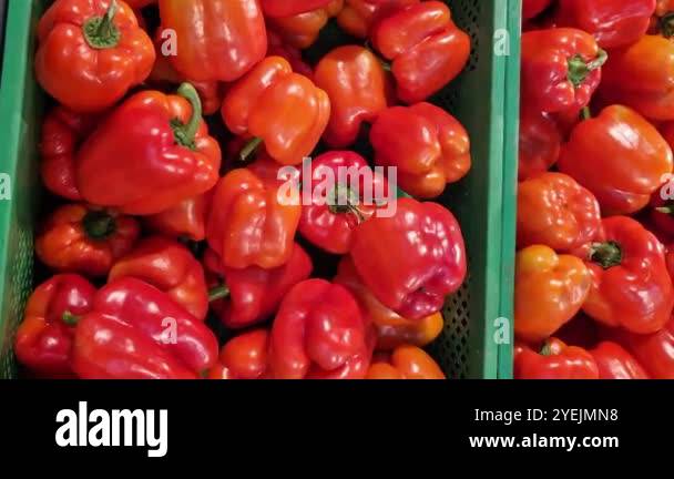 Red pepper in the store on the counter. Peppers in plastic boxes in the ...