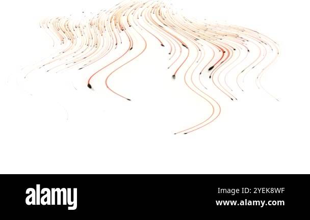 Abstract orange lines on white Stock Videos & Footage - HD and 4K Video ...