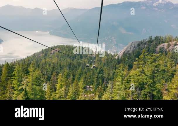 Cable cars traveling over a lush forest with mountains in the distance ...
