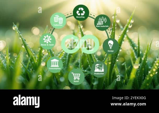 Circular economy concept for future business growth and environmental ...