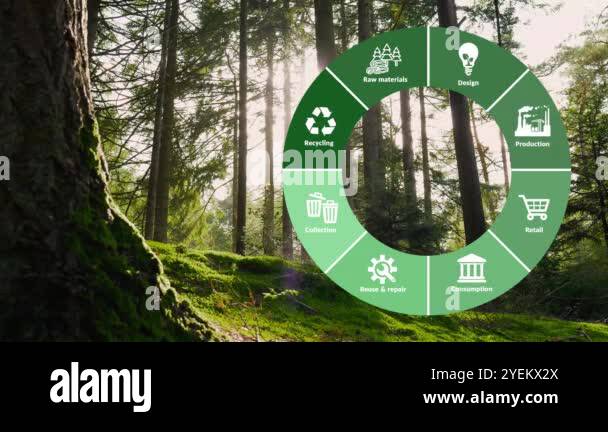 Circular economy phases diagram.Circular economy concept for future business growth and ...