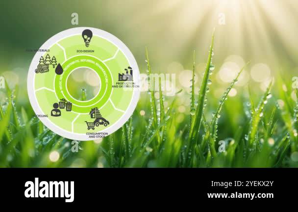 Circular economy phases diagram.Circular economy concept for future business growth and ...