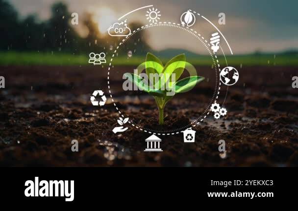 Circular economy concept for future business growth and environmental sustainability and reduce ...