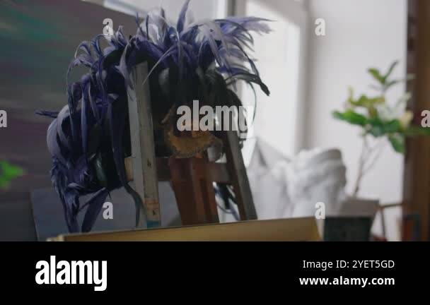 Busy art studio Stock Videos & Footage - HD and 4K Video Clips - Alamy