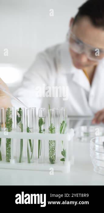 Woman scientist wearing a lab coat, is dripping liquid from a pipette ...