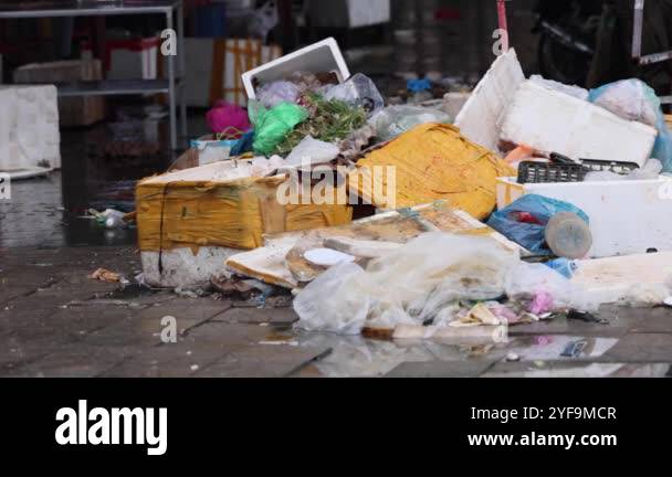 Aftermath of typhoon Stock Videos & Footage - HD and 4K Video Clips - Alamy