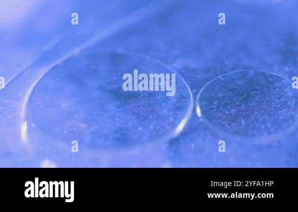 Collagen emulsion. Oil fluid. Defocused blue color transparent ...