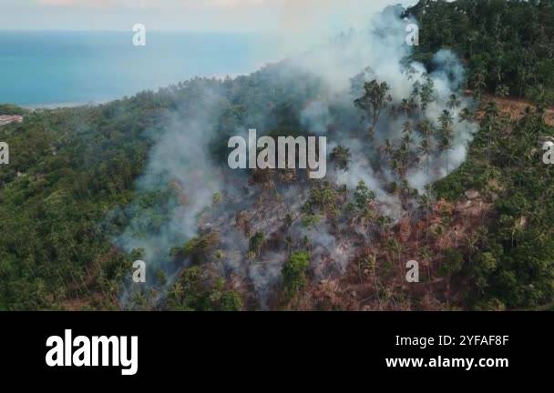 Forest fire unseen impact of global warming devastating effect of ...