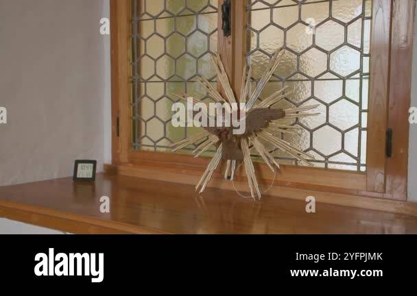 Holy spirit stained glass window Stock Videos & Footage - HD and 4K ...