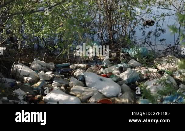 Pond pollution, Terrestrial ecosystems, Pollution solutions ...