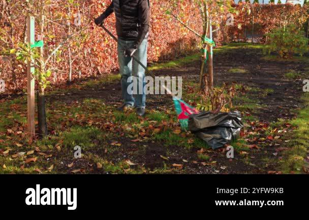 Man gathering fallen leaves Stock Videos & Footage - HD and 4K Video ...