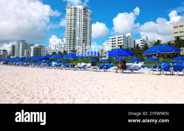 Rows of blue beach umbrellas and loungers on sandy Miami beach with ...