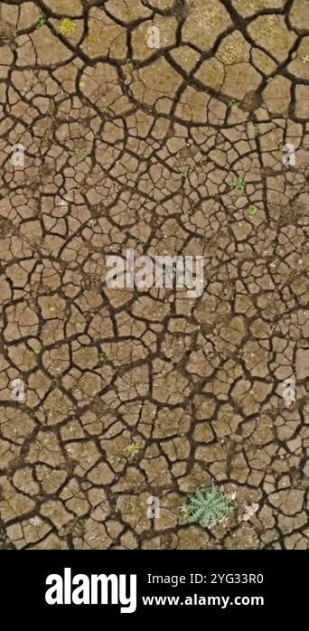 Arid earth cracks Stock Videos & Footage - HD and 4K Video Clips - Alamy