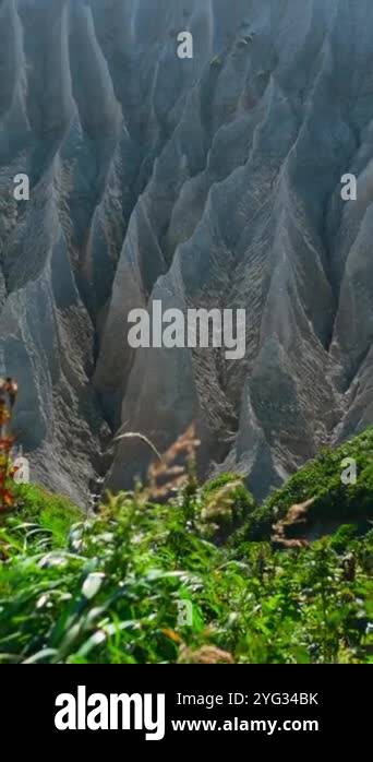 Beautiful white rocks with erosion and vegetation. Clip. Volcanic white ...