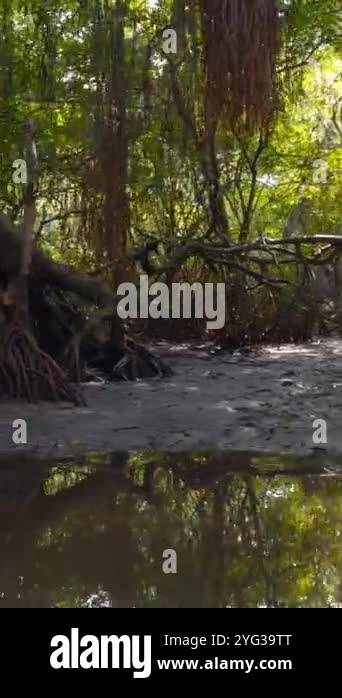 Summer region Stock Videos & Footage - HD and 4K Video Clips - Alamy