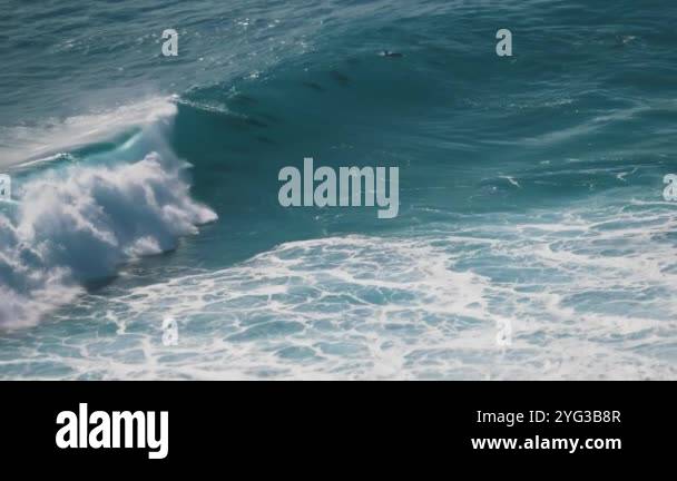 Amazing shot wild dolphin pod jump play dive in powerful strong waves ...