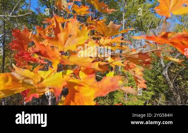 Trans america trail Stock Videos & Footage - HD and 4K Video Clips - Alamy