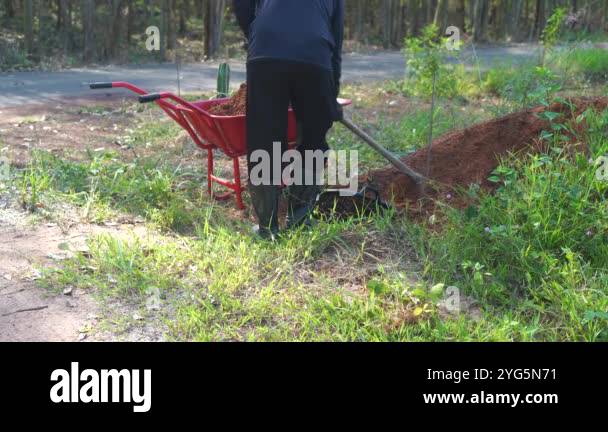 Construction site workers are digging up soil, loading it into a ...
