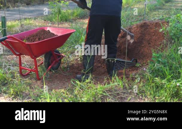 Construction site workers are digging up soil, loading it into a ...