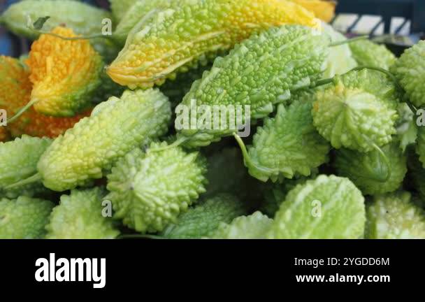 Diversity showcase Stock Videos & Footage - HD and 4K Video Clips - Alamy