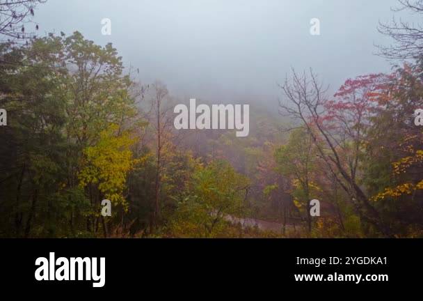 Autumn rain mist in Stock Videos & Footage - HD and 4K Video Clips - Alamy